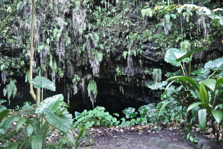 Driving around Tahiti: Top Things to Do and See - Erika's Travels
