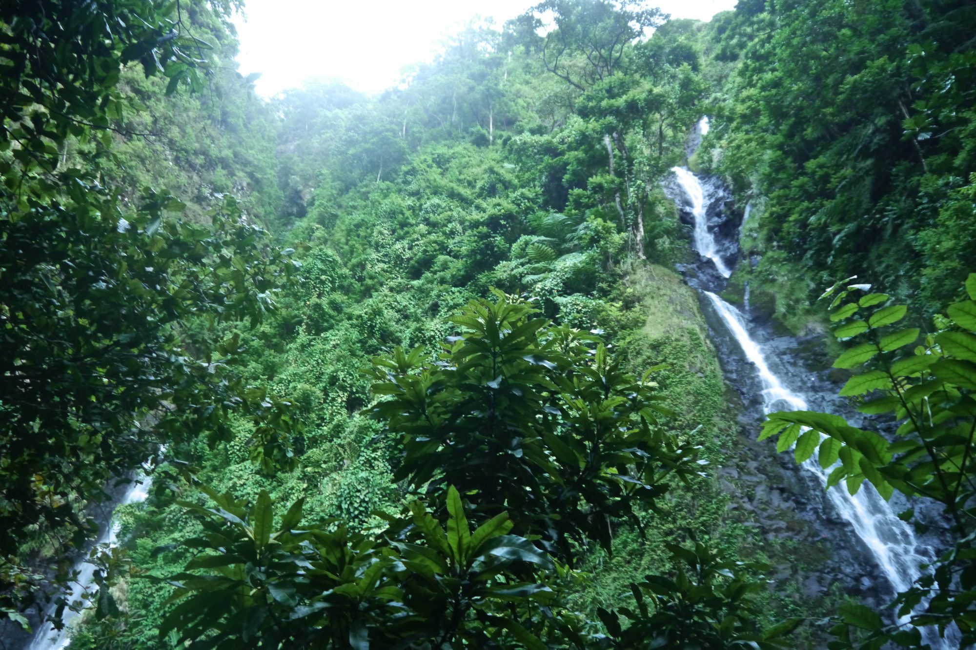 Driving around Tahiti: The Gateway to French Polynesia - Erika's Travels
