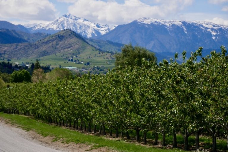 Cascade Loop Road Trip in Washington - Erika's Travels