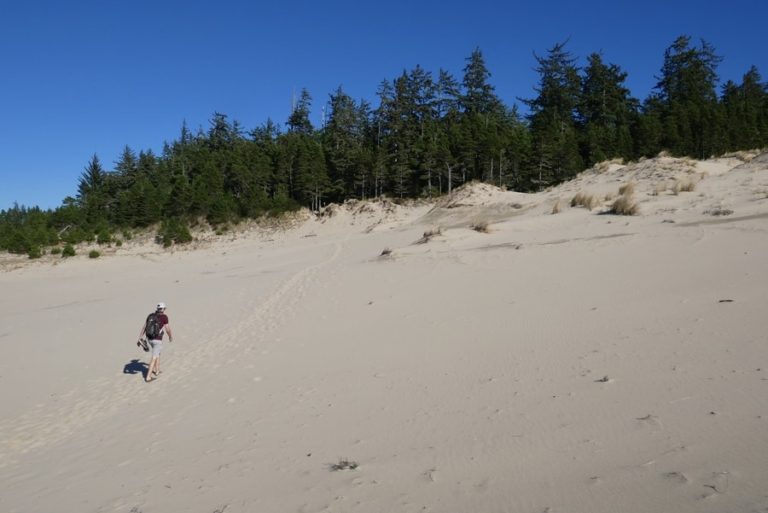 Visiting the Coastal Sand Dunes in Oregon - Erika's Travels