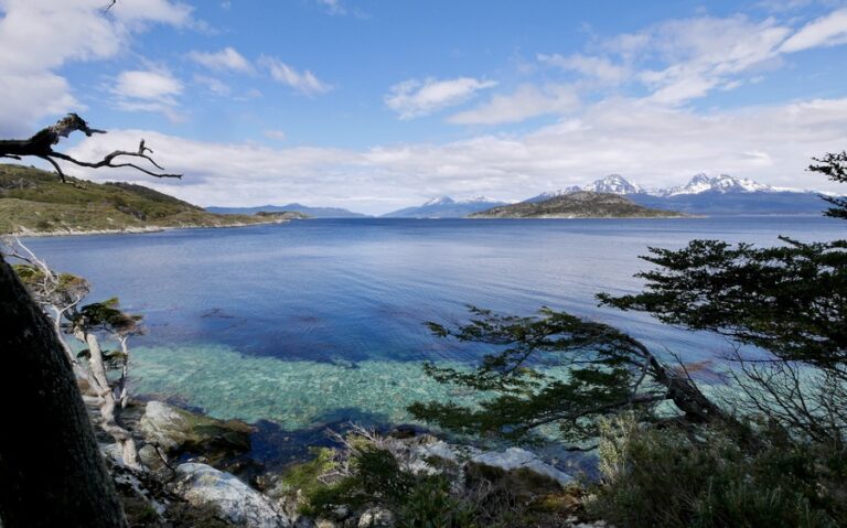 Tierra del Fuego National Park in Argentina - Erika's Travels